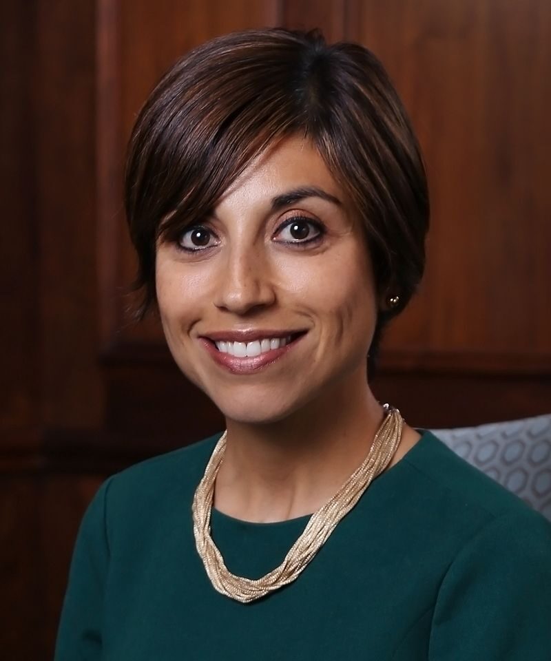 Hire Mehrsa Baradaran to Speak | Get Pricing And Availability | Book Today